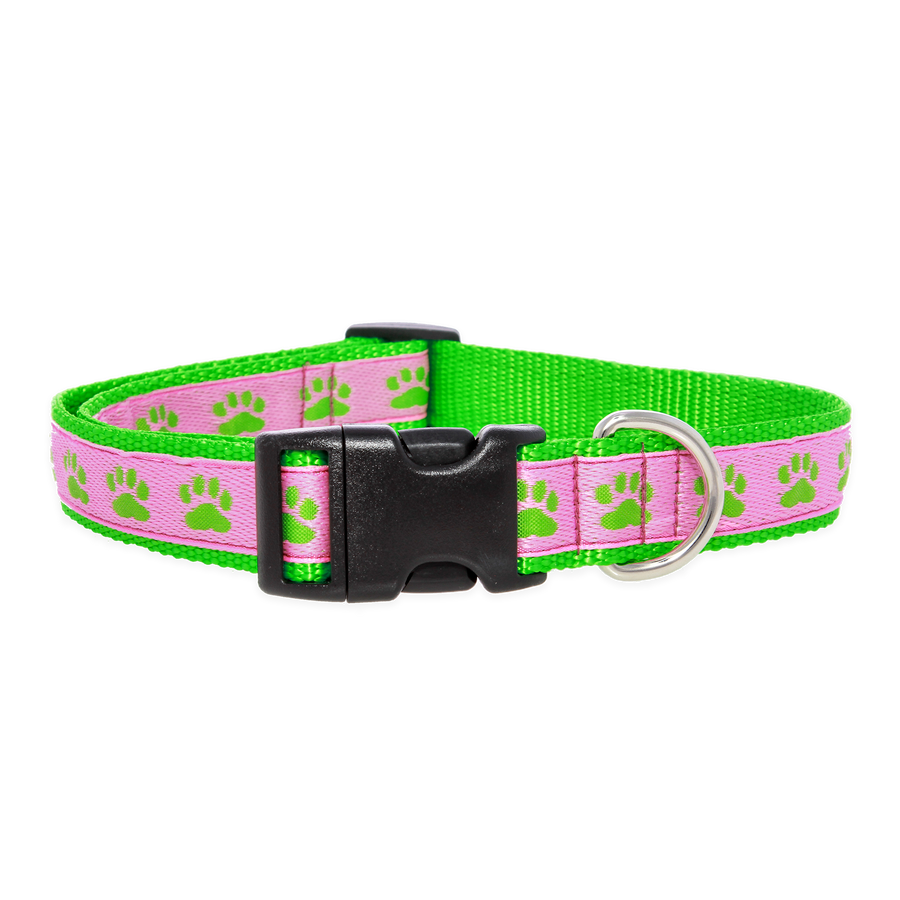 Paws For A Cause™ - Our Story